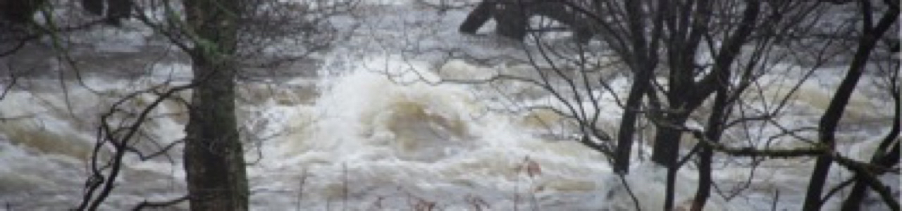 Gang aft agley - The Cynefin Co