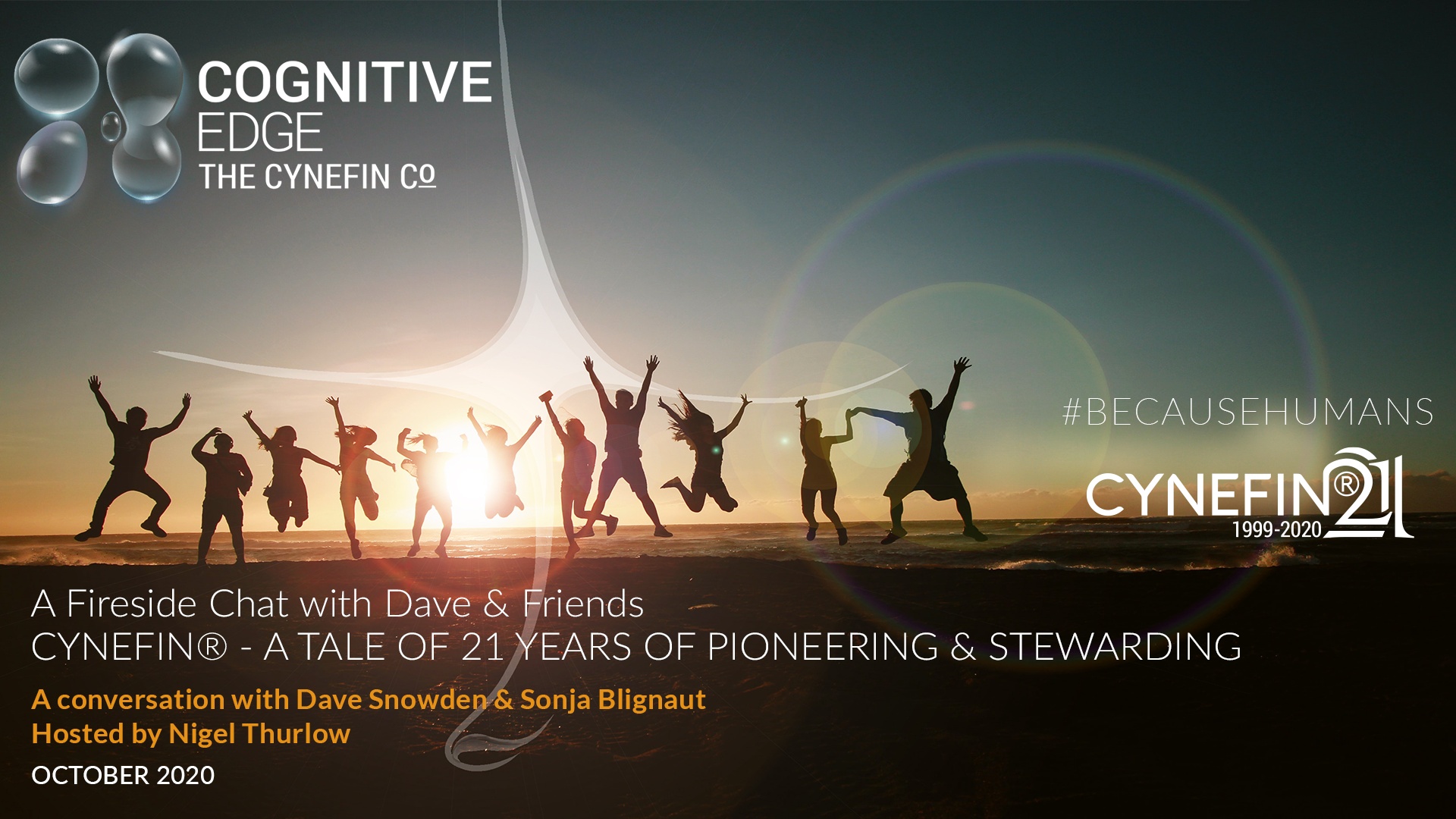 Cynefin® - a tale of 21 years of pioneering and stewarding - The Cynefin Co