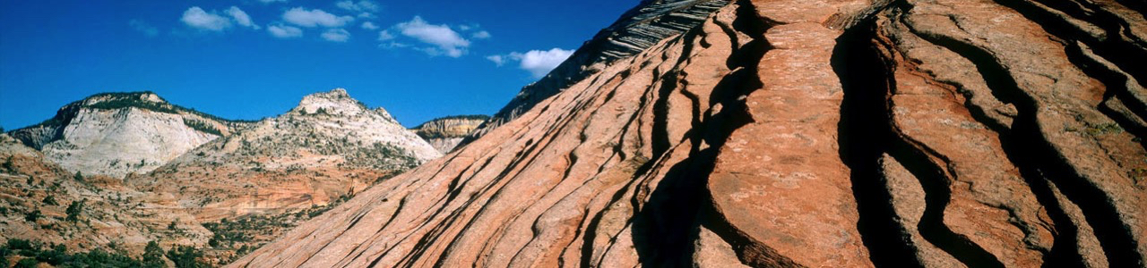 Unarticulated needs:directions - The Cynefin Co