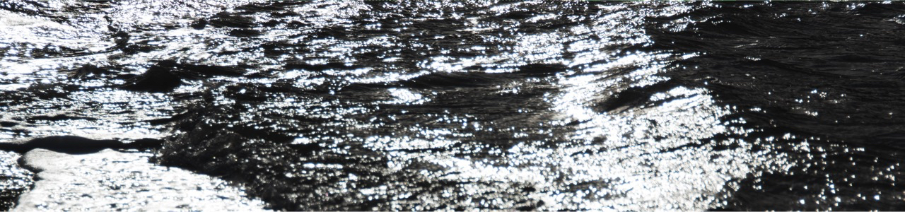 Synderesis in Cynefin - The Cynefin Co