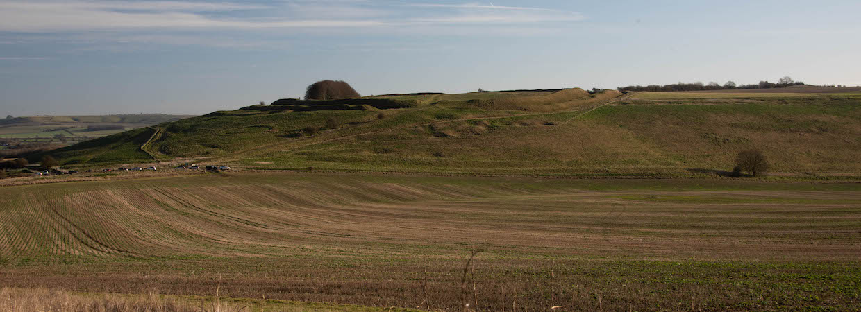 An apophatic view of leadership - The Cynefin Co